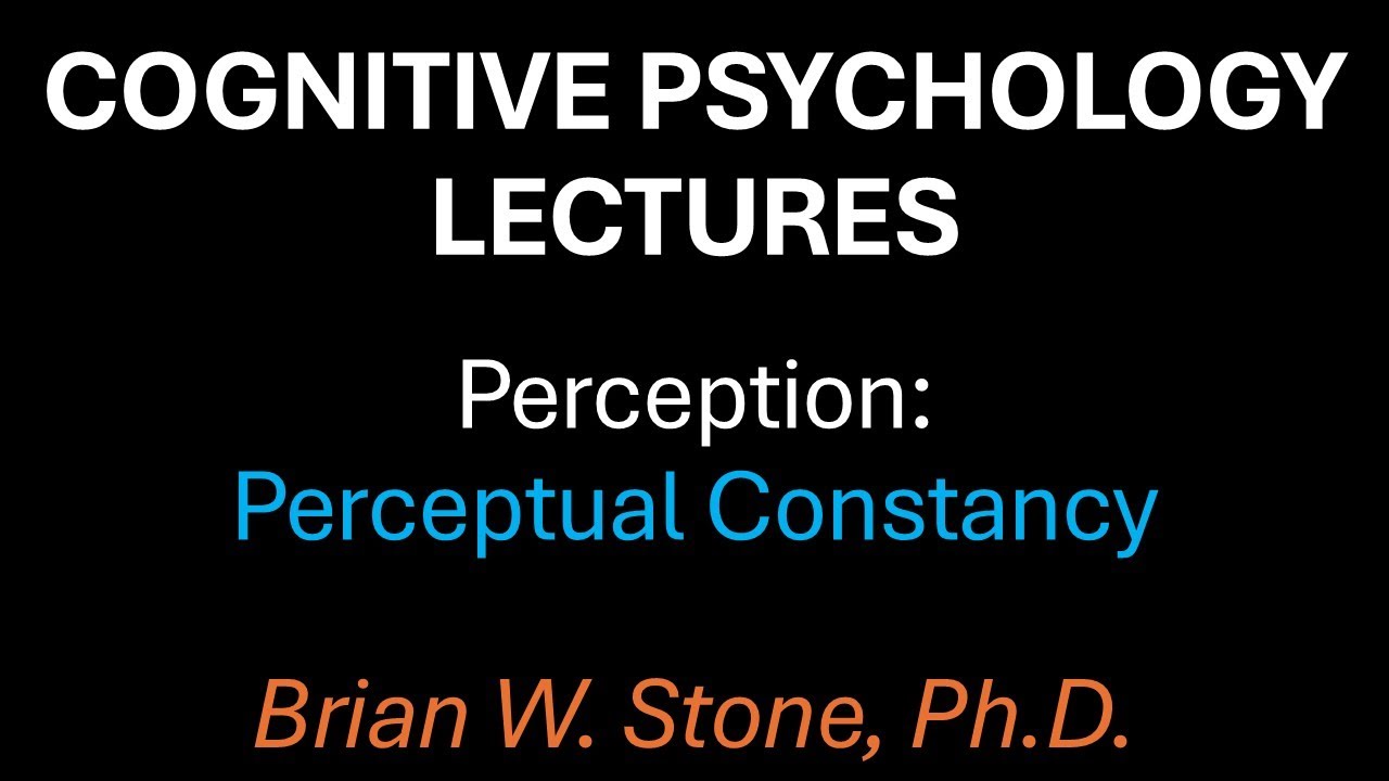 Cognitive Psychology - Perception Pt2 - Perceptual Constancy - YouTube