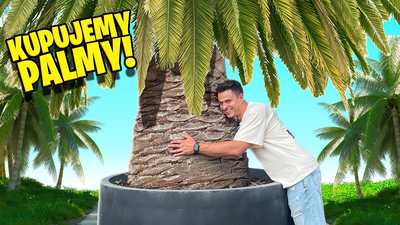 ODBIŁA MI PALMA! KUPUJEMY PALMY W POLSCE! - YouTube