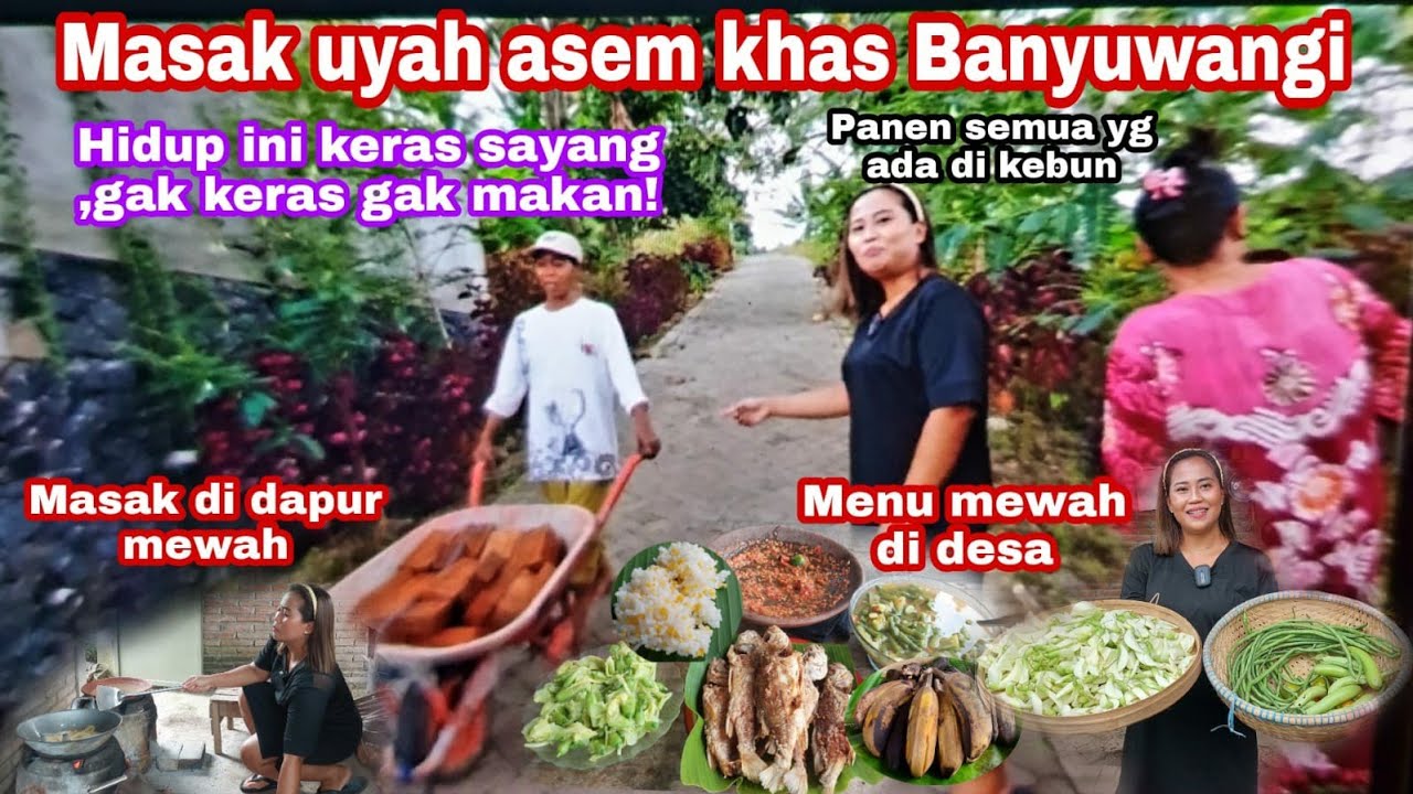 MASAK UYAH ASEM KHAS BANYUWANGI || PUAS.... ️PANEN SEMUA SAYUR YG ADA ...