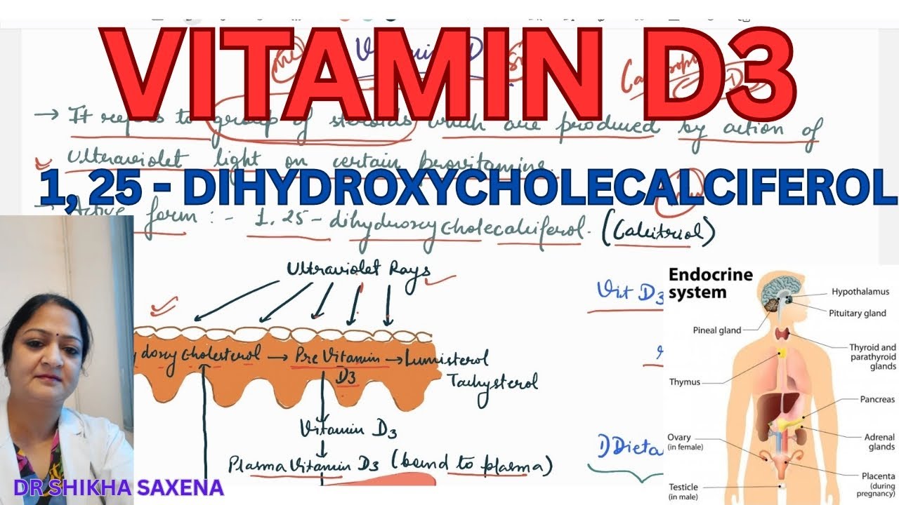Vitamin D3- 1,25-dihydroxycholecalciferol hormone, Synthesis ...