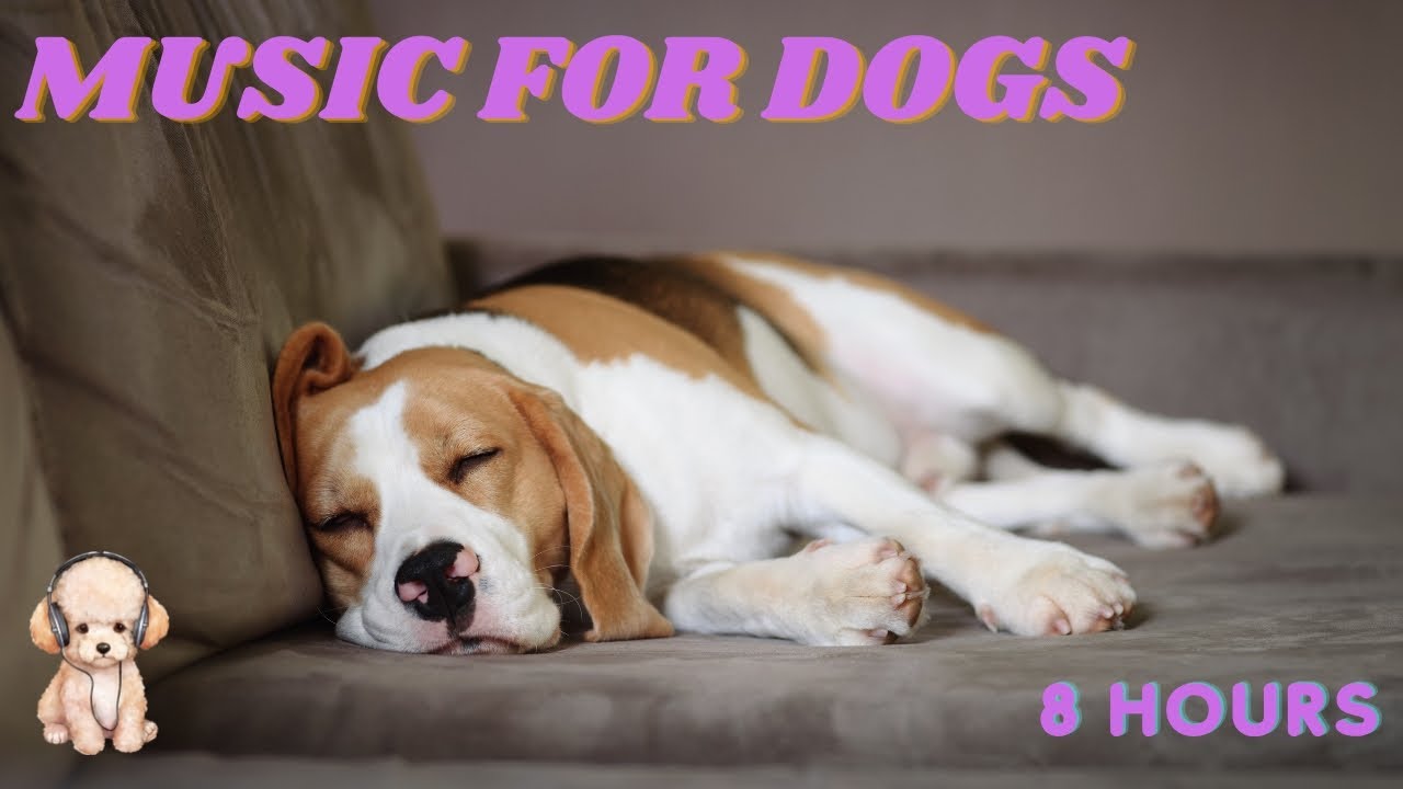 DOG MUSIC! 🎶 Relax My Dog with Beautiful Calming Music!Help your dog ...
