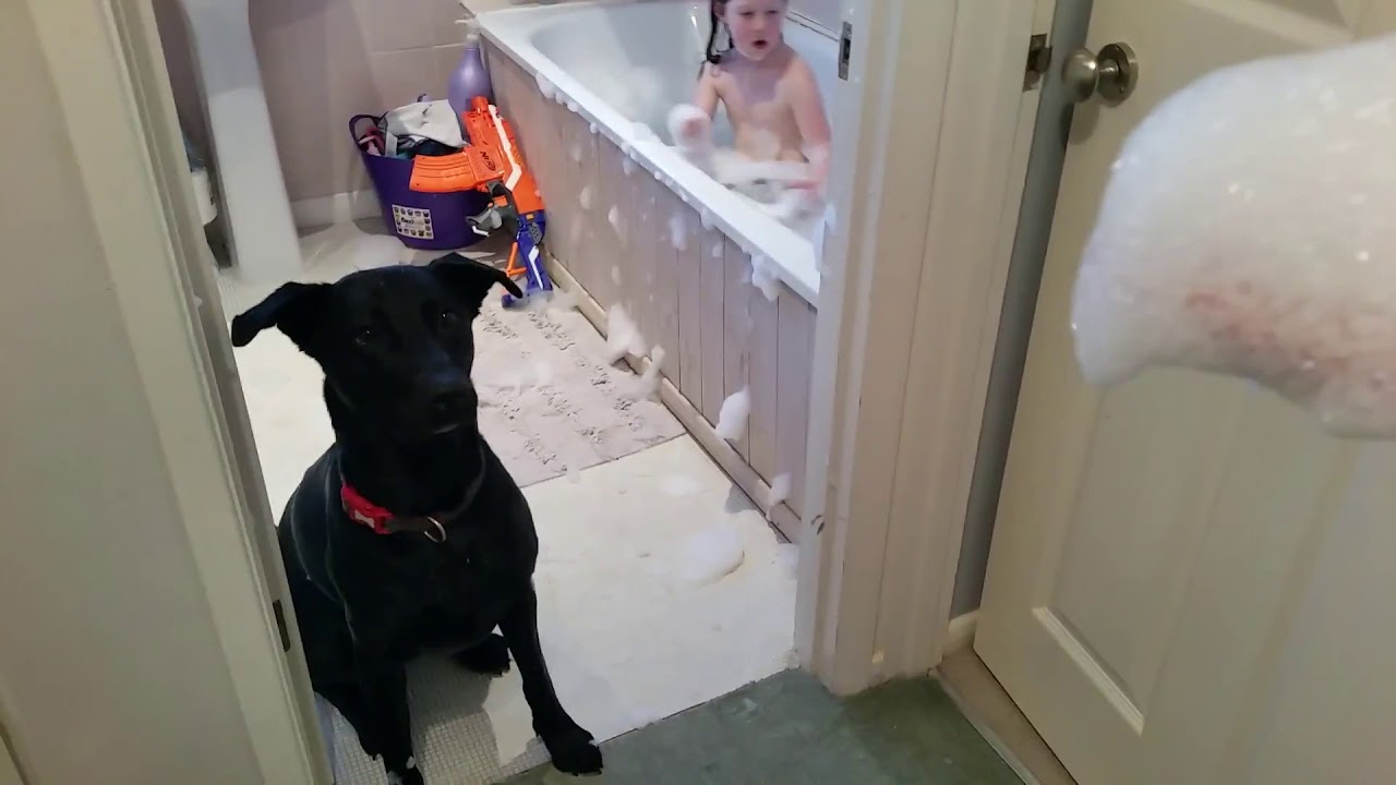 bella bubble - YouTube