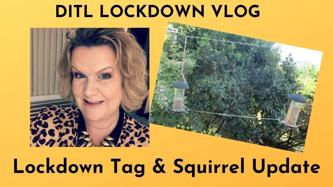 DITL Vlog: Lockdown Tag & Squirrel Update - YouTube
