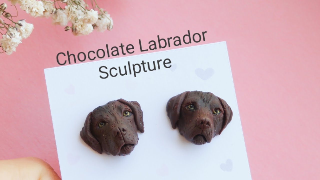 How to Sculpt a Chocolate Labrador Dog Face from Polymer Clay ...