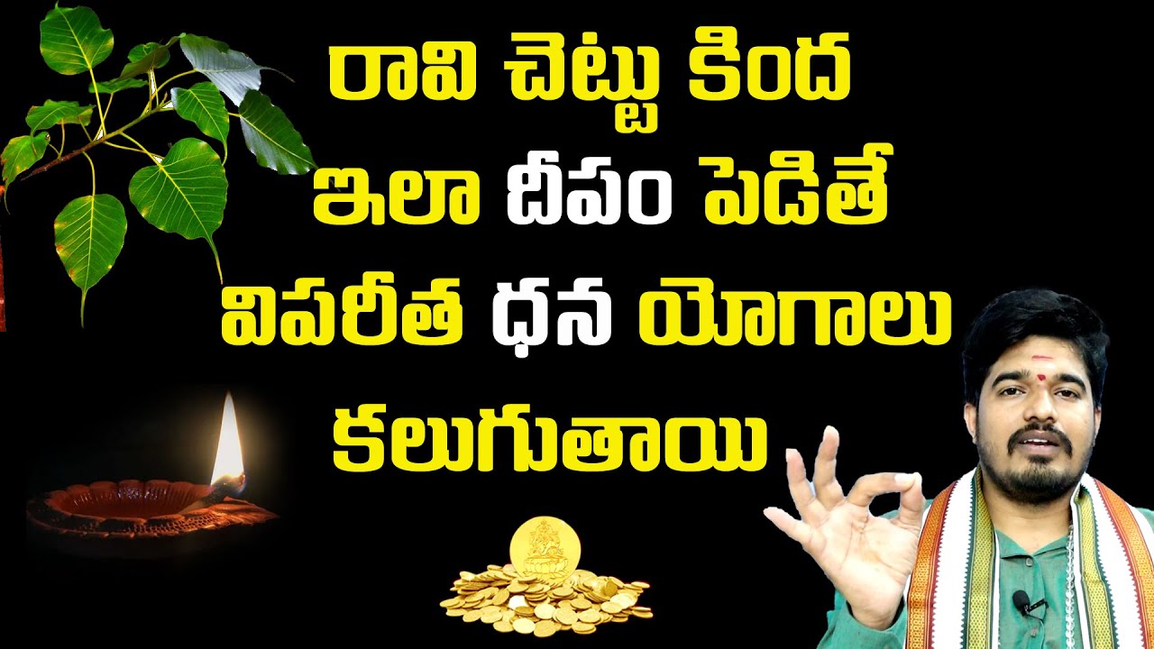 సిరి సంపదలతో తులతూగాలంటే ఇలా చేయండి | Importance Of Pipal Tree/ Ravi ...