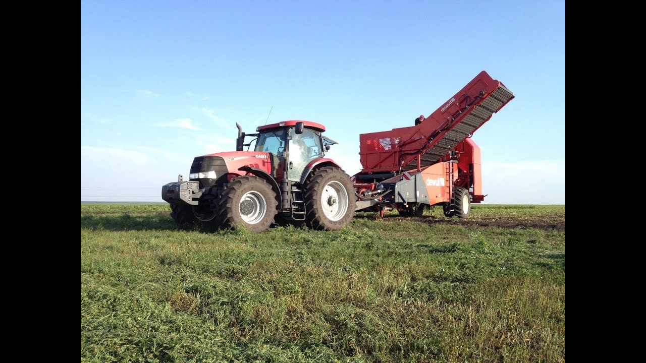 Трактор Кейс Пума 210 и комбайн Девульф. Case IH Puma 210 and De Wulf ...