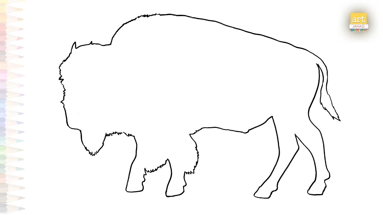 Bison outline sketch easy | Animal drawings | How to draw A Bison step ...
