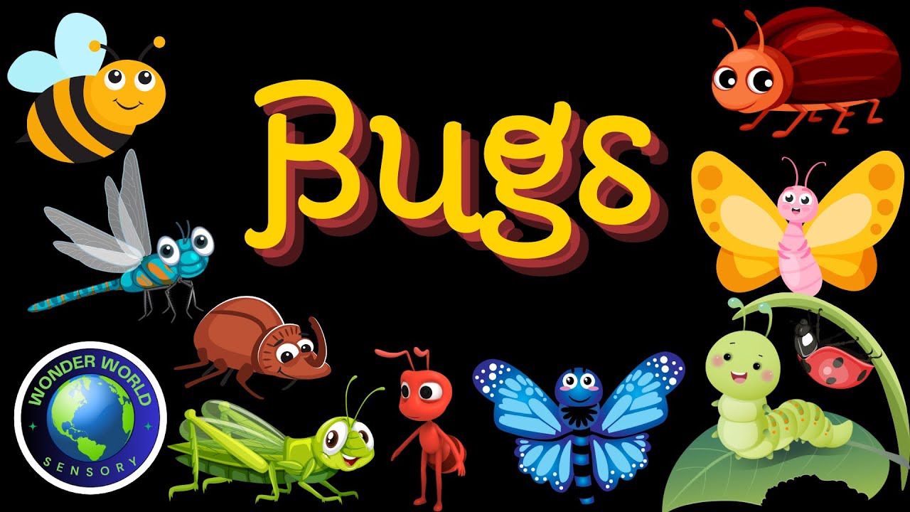 Wonder World Sensory - BUGS! Baby sensory video for learning vibrant ...