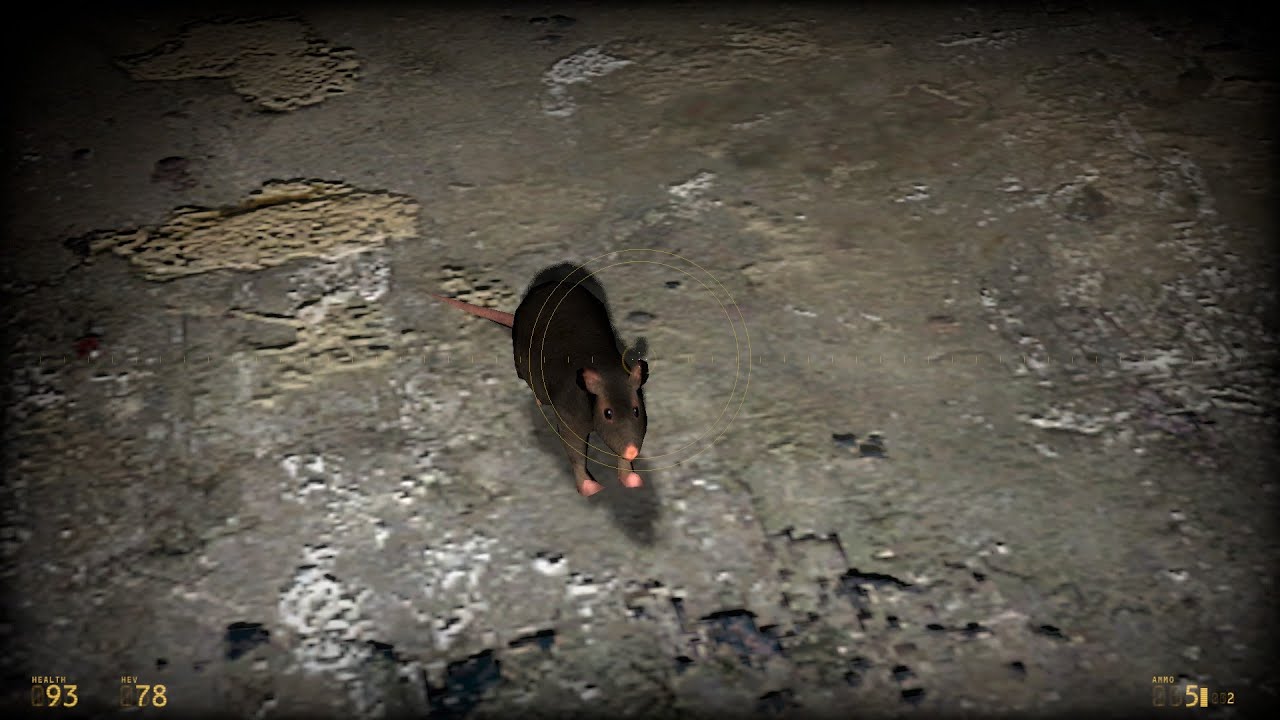 Rats In Half Life 2 - YouTube