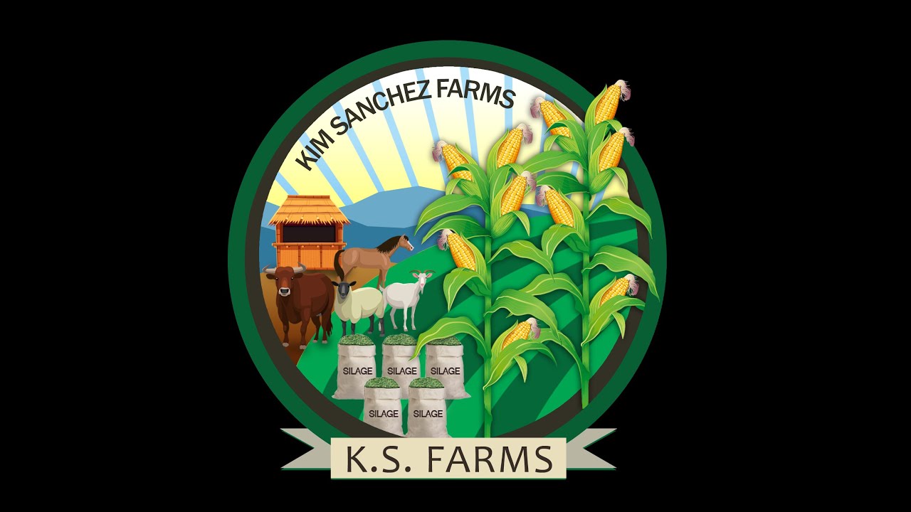 KS Farms owner and founder story - YouTube