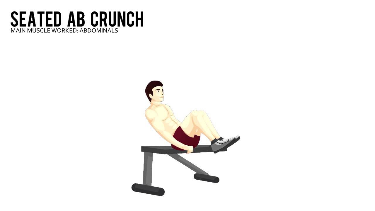 Seated Ab Crunch Exercise - YouTube