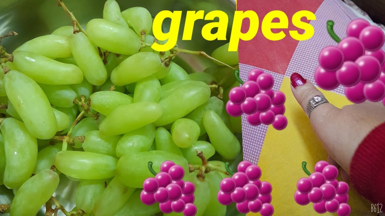 GRAPES 🍇 🍇 🍇 🍇 🍇 🍇 🍇 🍇 🍇 - YouTube