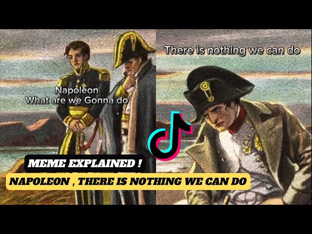 W Napoleon Memes