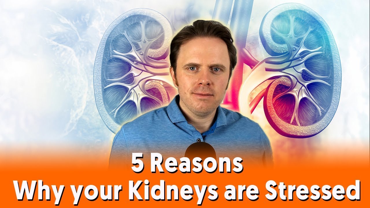 5 Reasons Why your Kidneys are Stressed | Dr. J Q & A - YouTube