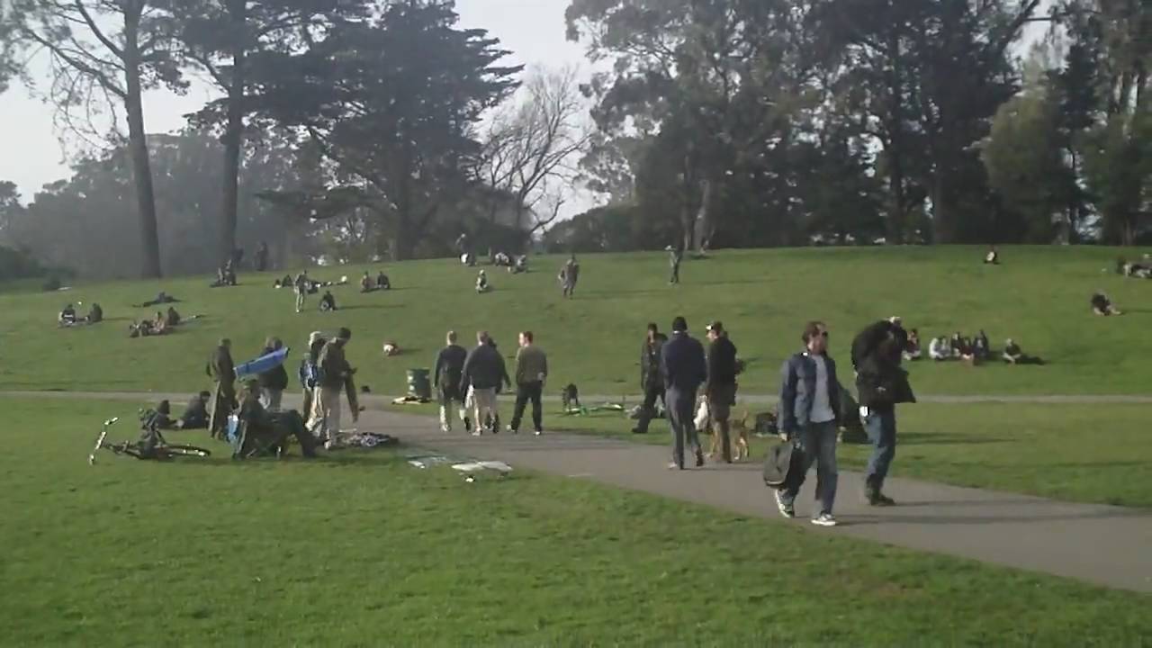 Janis Joplin Tree - SF Golden Gate Park - MAH00039 - 12-28-09 - YouTube