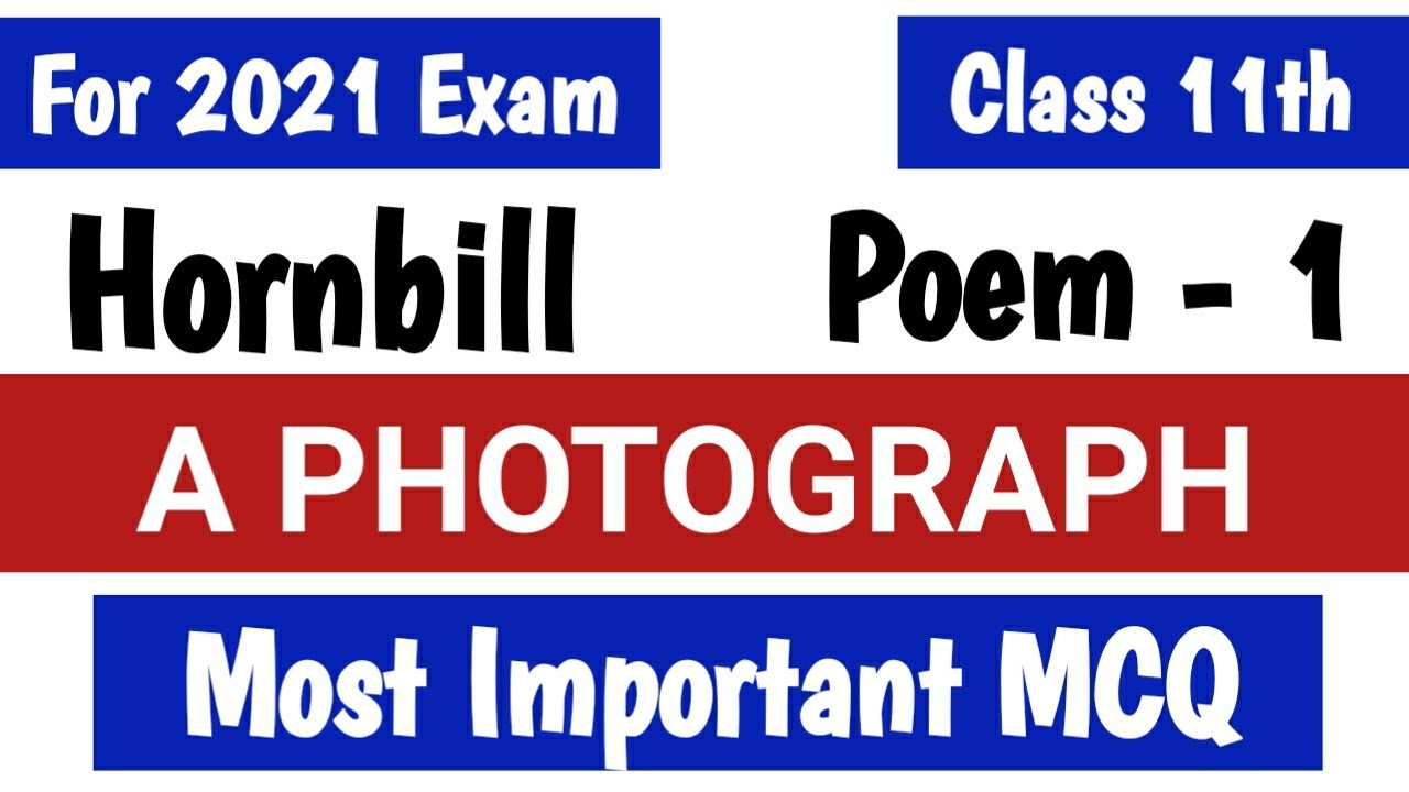 A Photograph class 11th MCQ | Hornbill poem - 1 | Most important MCQ ...