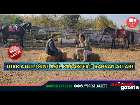 TÜRK ATÇILIĞININ ASİL KARAKTERİ RAHVAN ATLARI