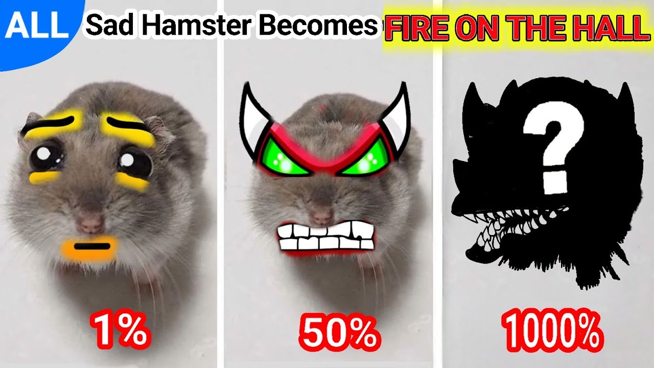 Sad Hamster Becomes ALL Versions COMPILATION - YouTube