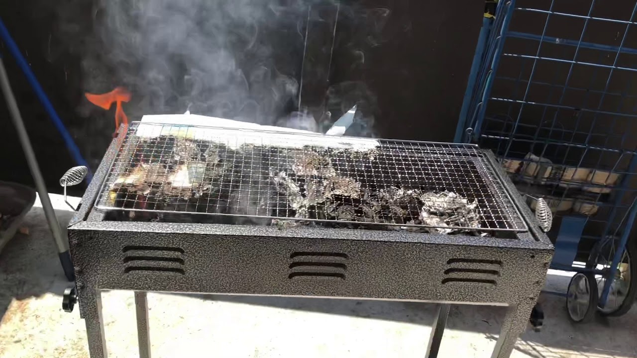 BBQ Fun in The Sun - YouTube