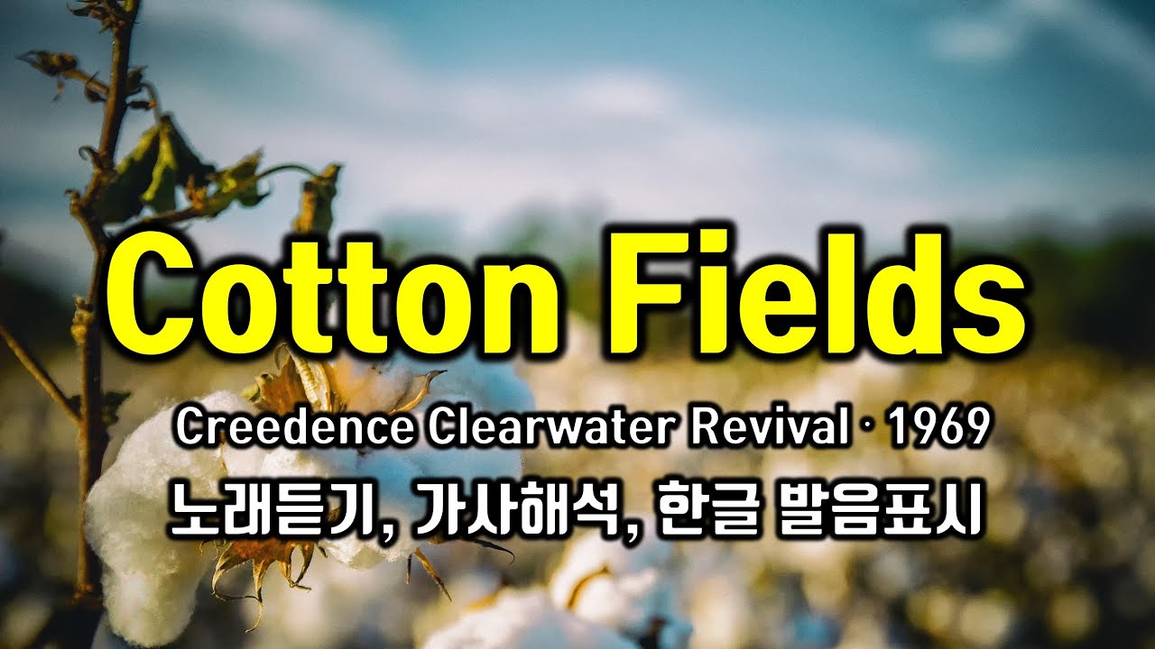 Cotton Fields 카튼필즈 (Creedence Clearwater Revival, CCR) 노래듣기 가사번역 해석 한국어 ...