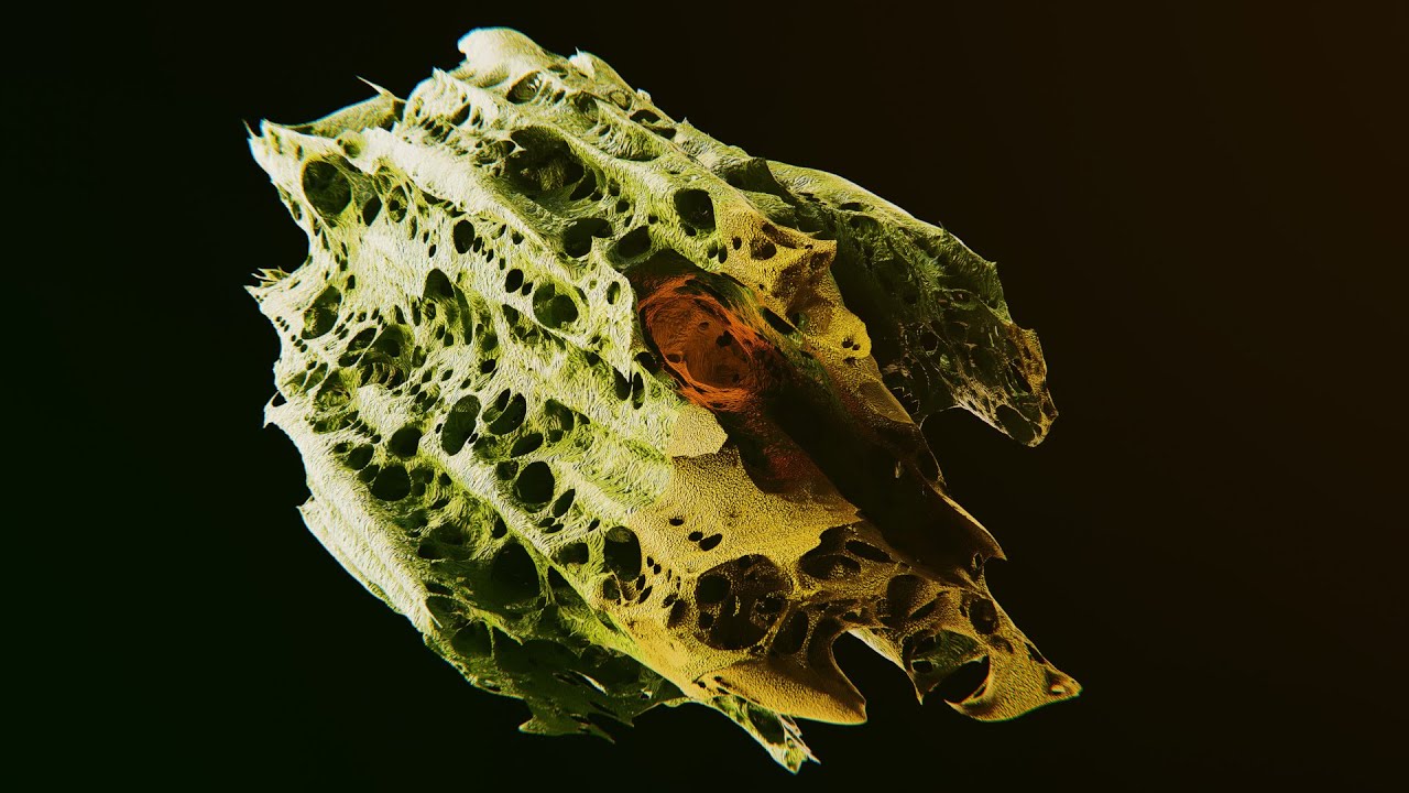 Organic object made in Blender - 4K HDR - YouTube