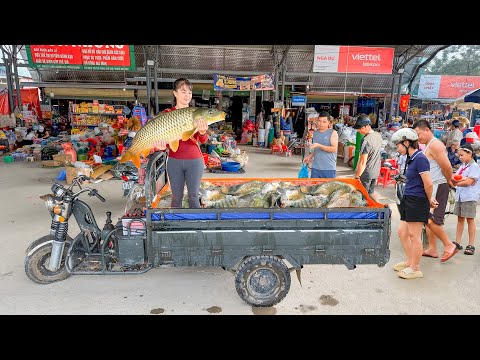 Buy A Lot Of Carp From Villager Pull Net To Harvest Fish, Use 3-Wheeled Truck Transport Fish To Sell