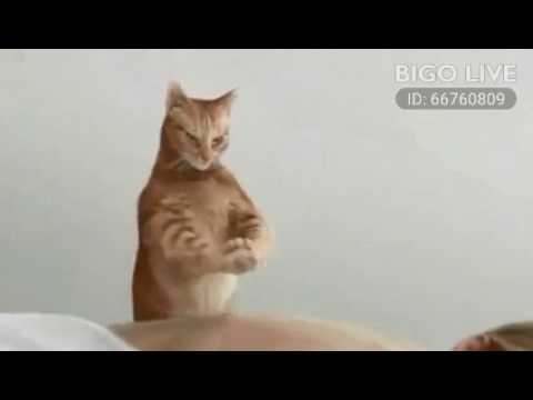 Watch it, beat it  #bigovlog