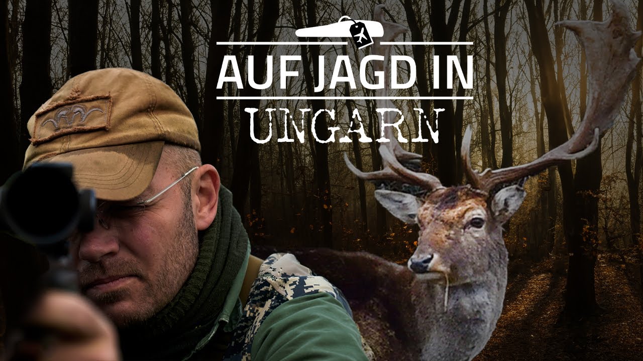 Die Jagd nach den Abnormen Damhirschen | JÄGER mit Chris Balke zur ...