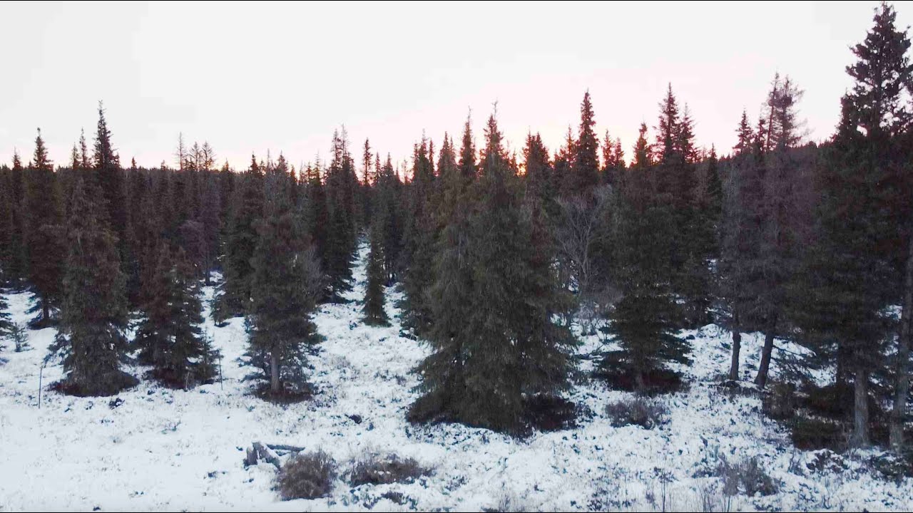 Sunrise in Kokhanok - YouTube