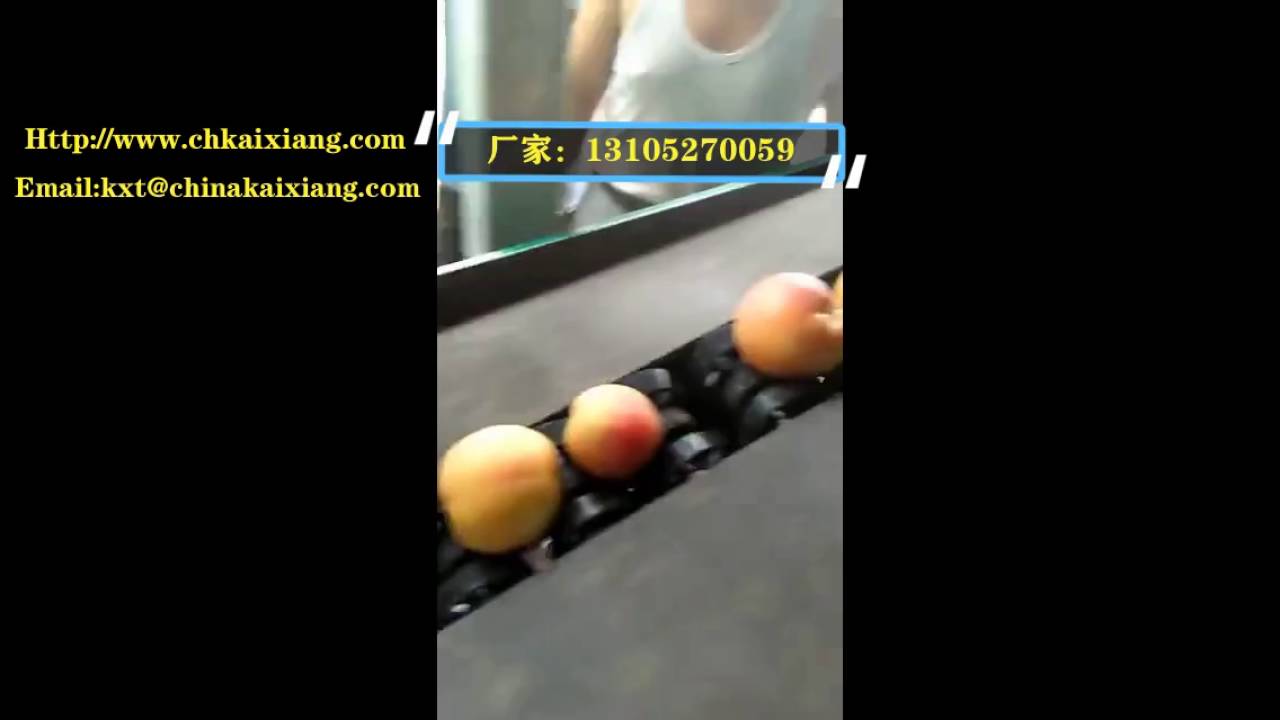 peach washing and grading machine - YouTube