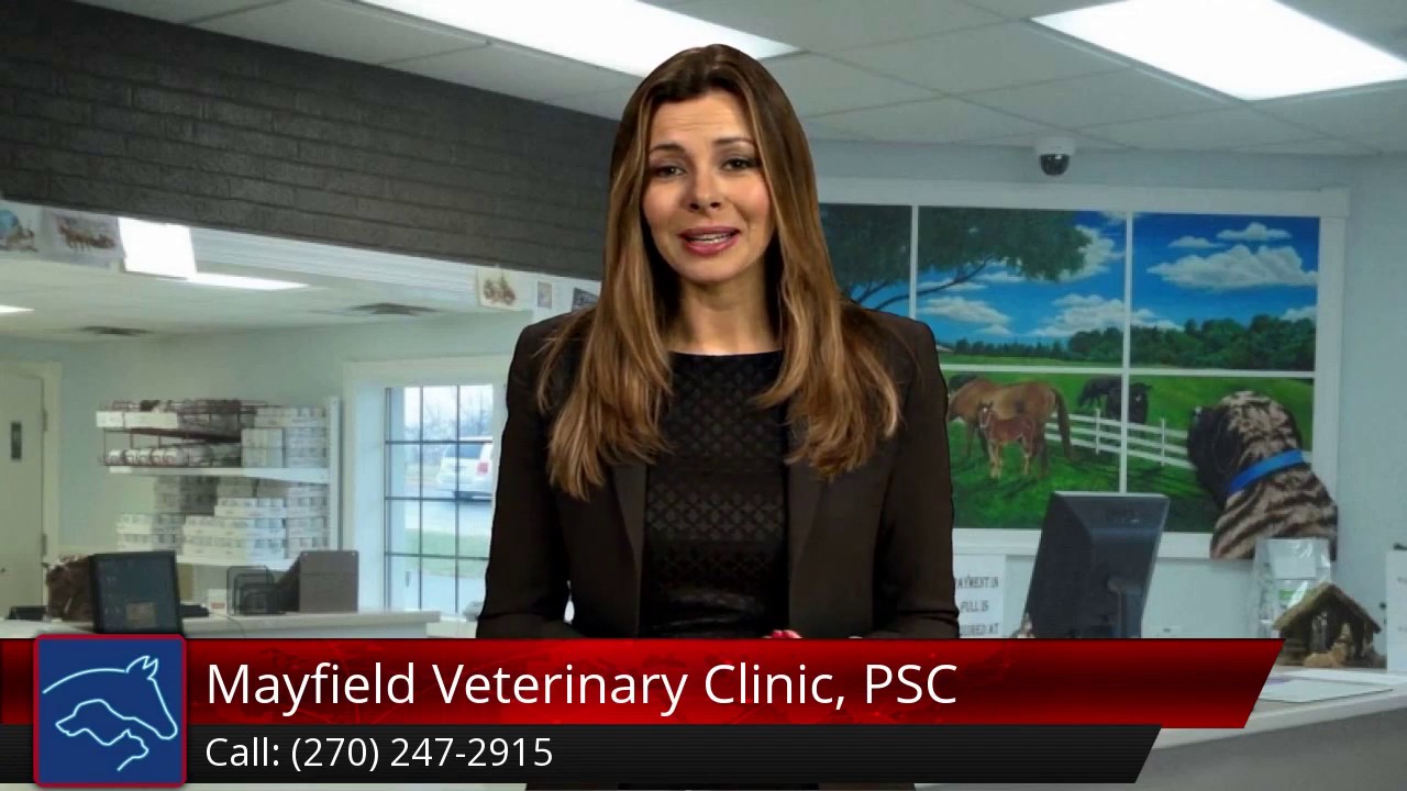 Mayfield Veterinary Clinic, PSC Mayfield Remarkable Five Star Review by ...