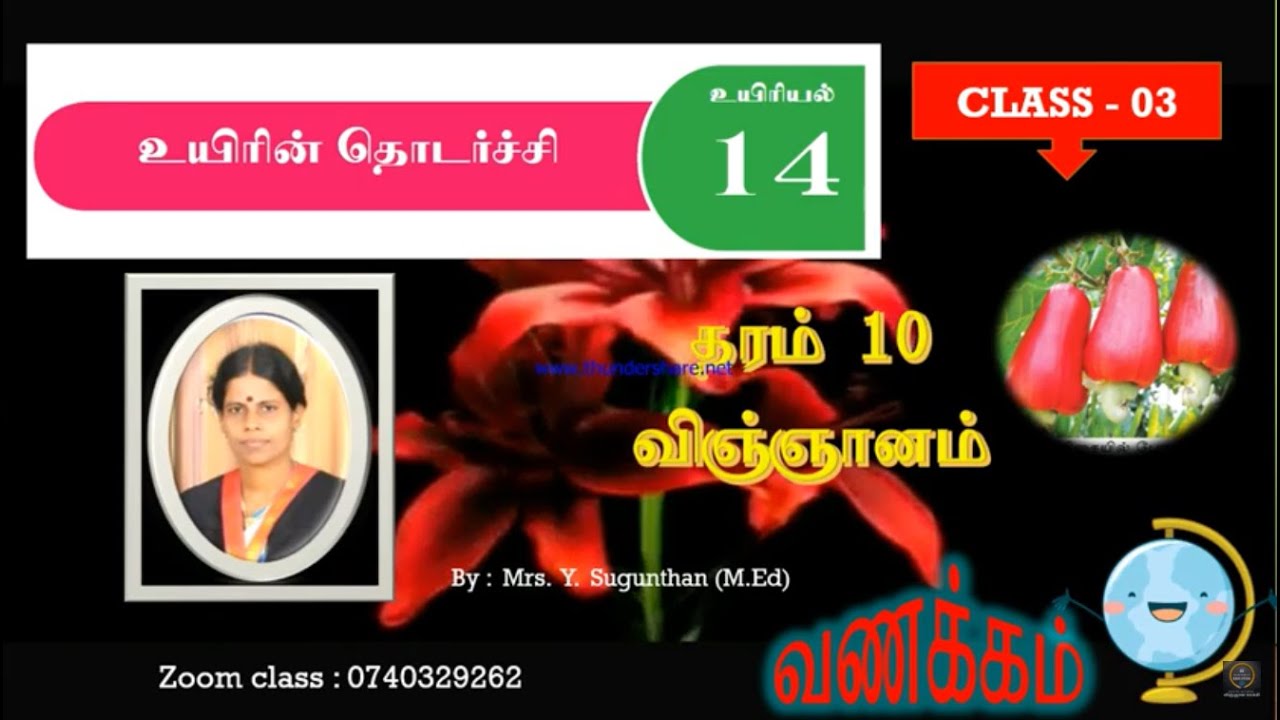 grade-10-science-unit-14-3-seeds-dispersal-third-term-youtube