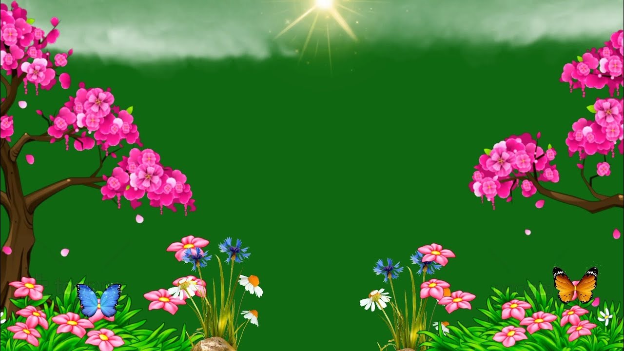 Free Green Screen Background Video effects / Tree Green Screen ...