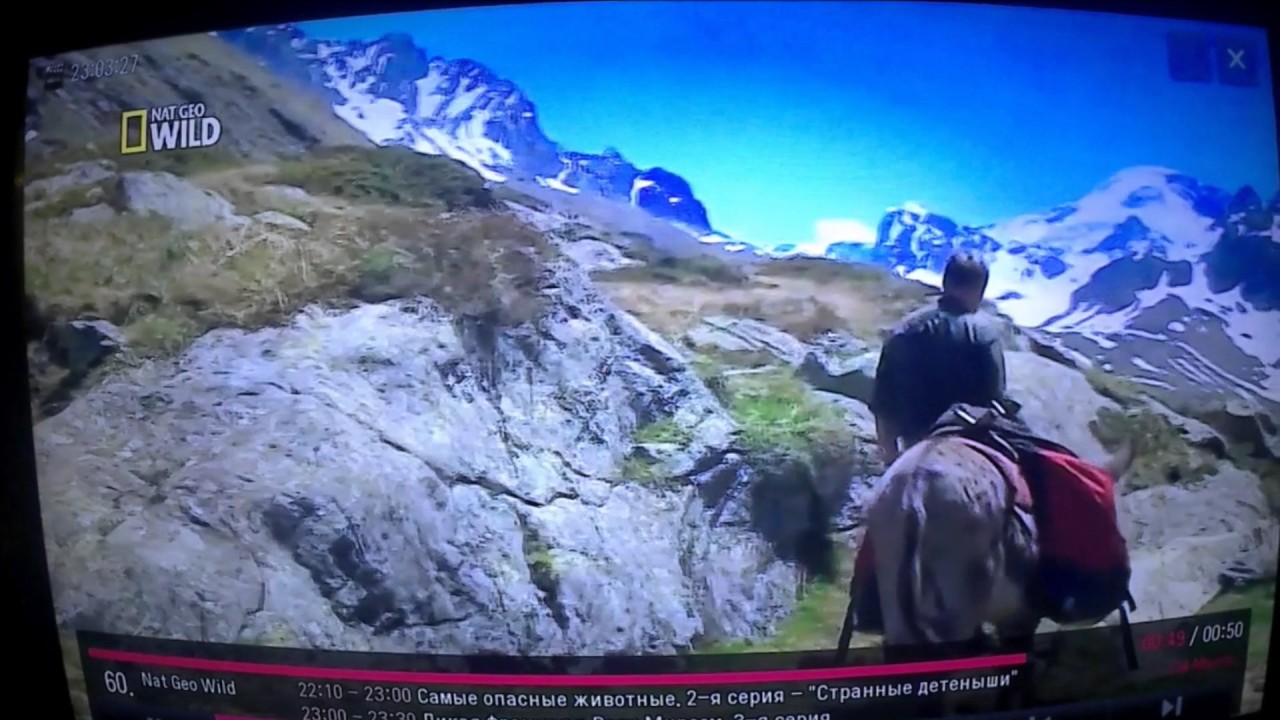 Что такое Forkplayer видео1 - YouTube