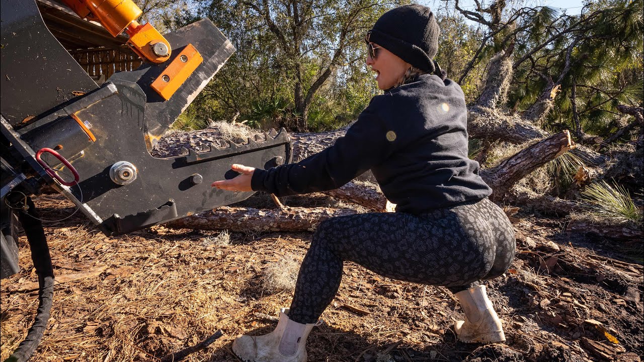 Tree Almost Fell On Our Sawmill - Titan Attachments Tree Shear - YouTube