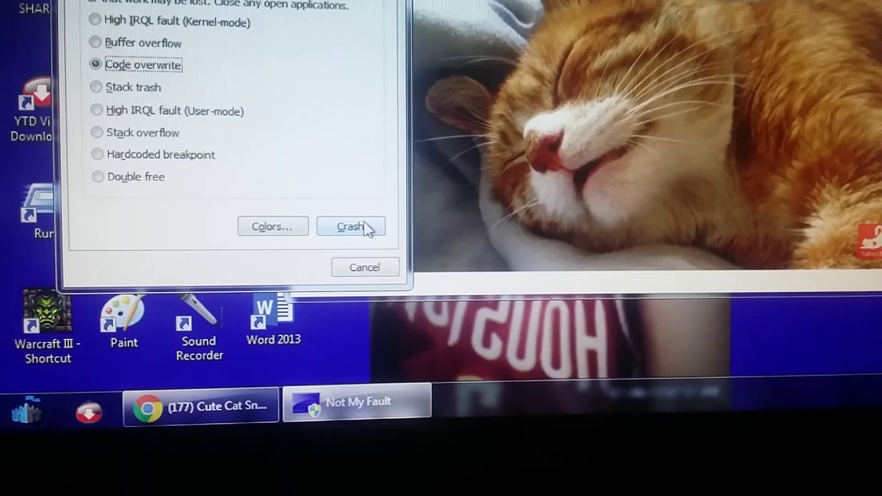 Cat Snoring Has BSOD - YouTube