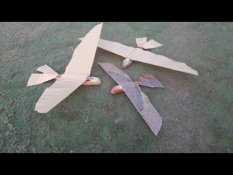 DIY RC Ornithopter robird india - YouTube