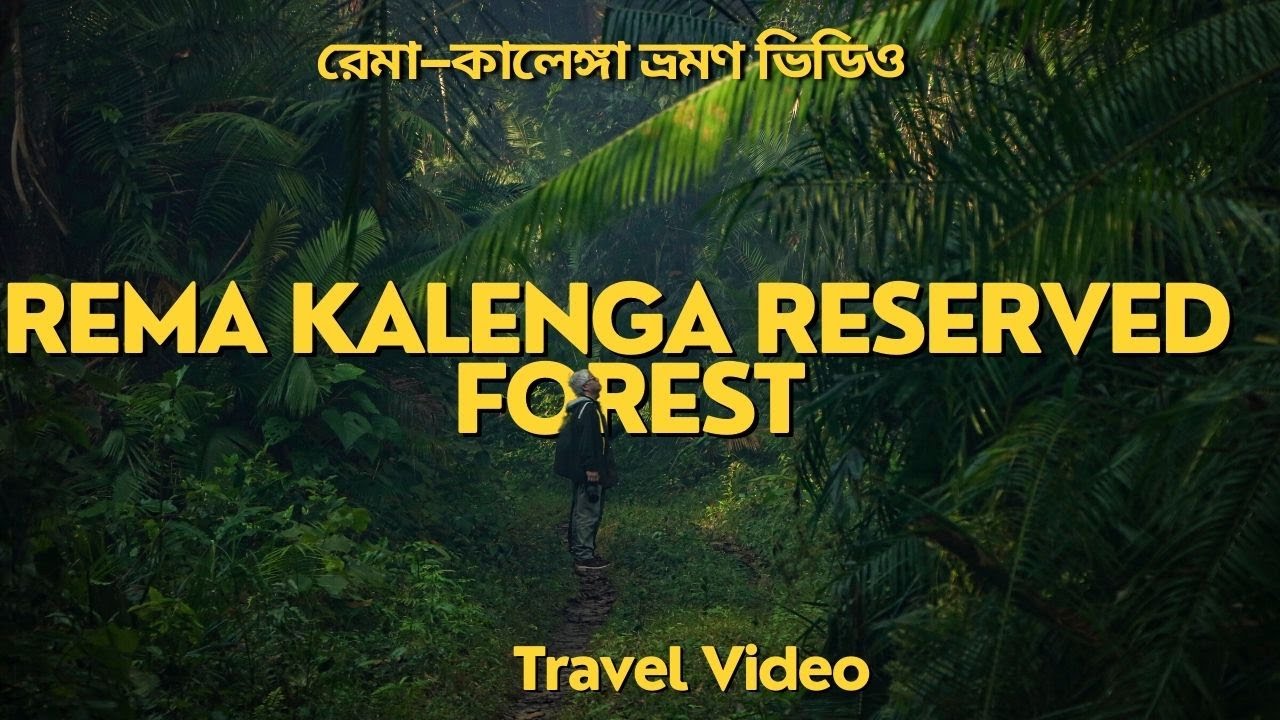 Spectacular Rema Kalenga Reserved Forest - YouTube