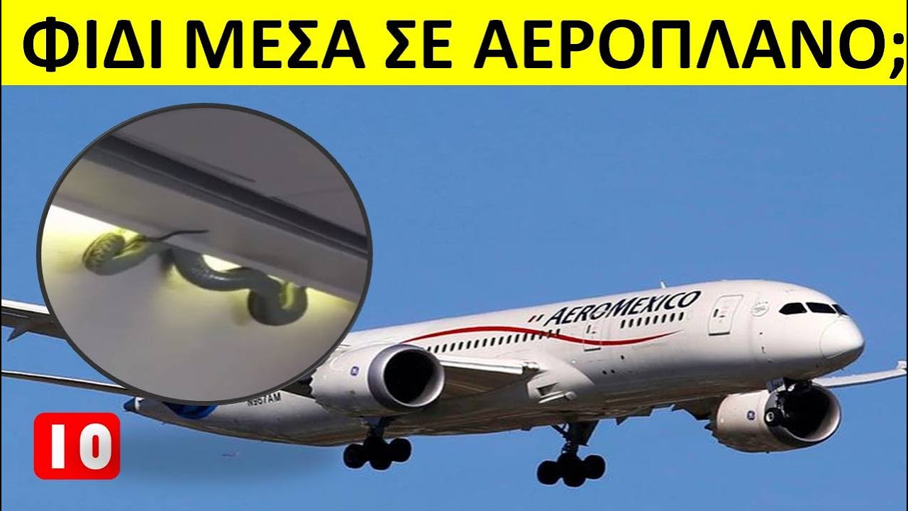Τα 10 Πιο Απίστευτα Πράγματα που Έχουν Συμβεί σε Αεροπλάνο! - Τα ...
