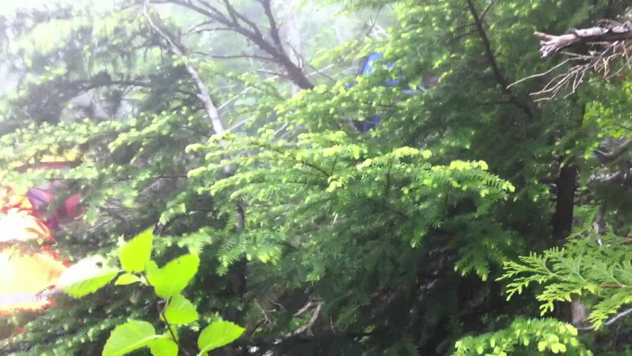 SAR Rescue - Roz Mclean Search. Final exit after all night - YouTube