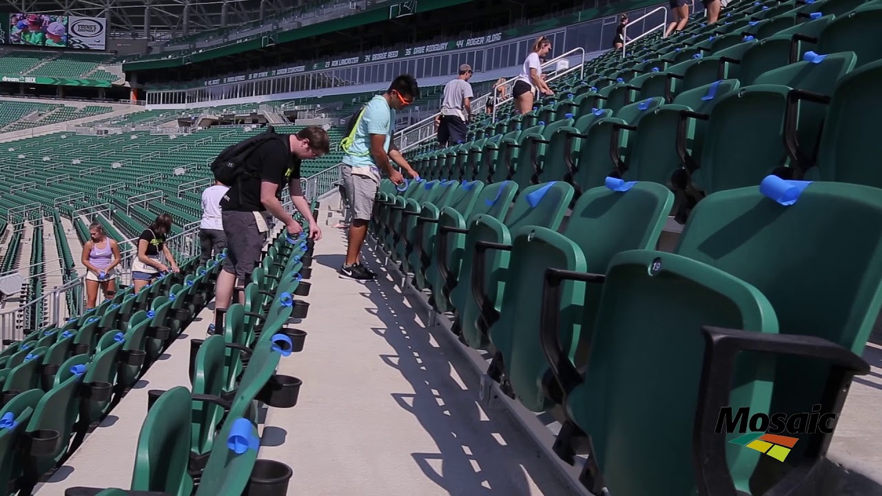 2017 Labour Day Classic Card Stunt Presented by Mosaic - YouTube