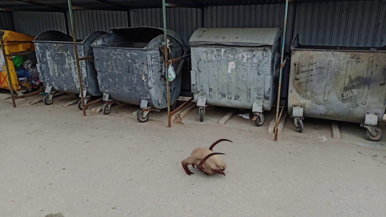 Headcrab in real life - YouTube