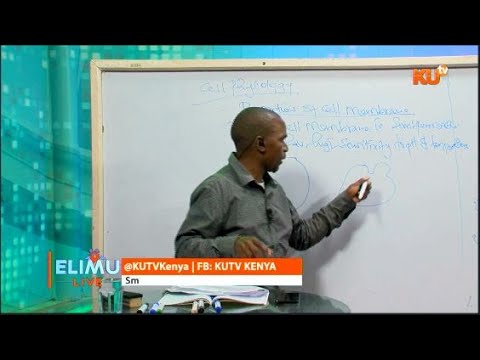 ELIMU LIVE- (BIOLOGY FORM 1) - YouTube