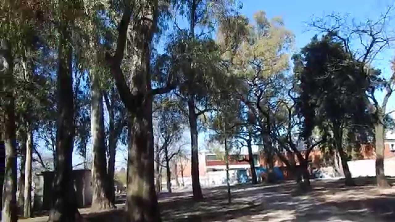 entrando. al parque de #lomas. - YouTube