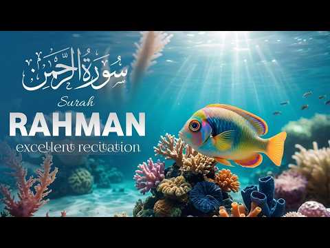 Surah Rahman with beautiful quran recitation || relaxing recitation || peace full tilawat|| A.W.Q