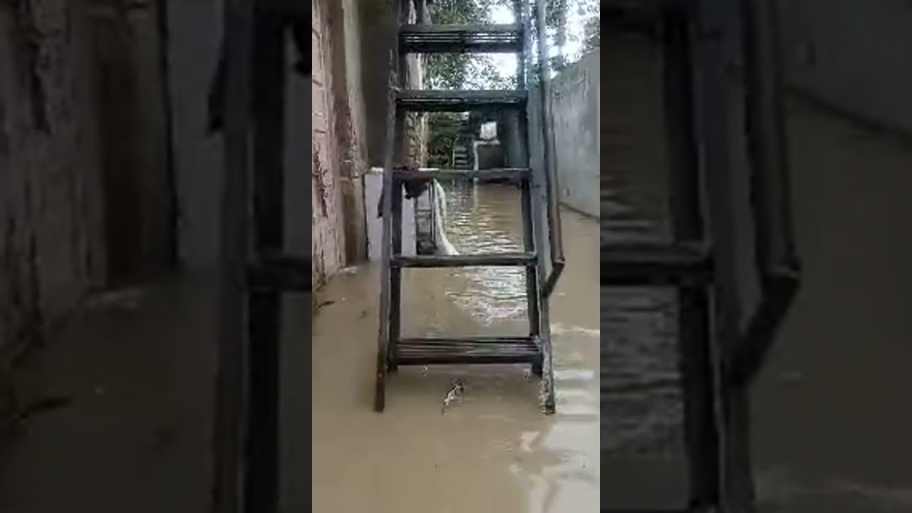 Sansani Reporter is live! यमुना बाजार में बाढ़ का कहर, बढ़ती पानी से ...