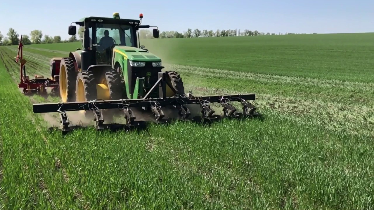 Precision farming Dawn ZRX Seed corn in Ukraine farm Супер посев ...