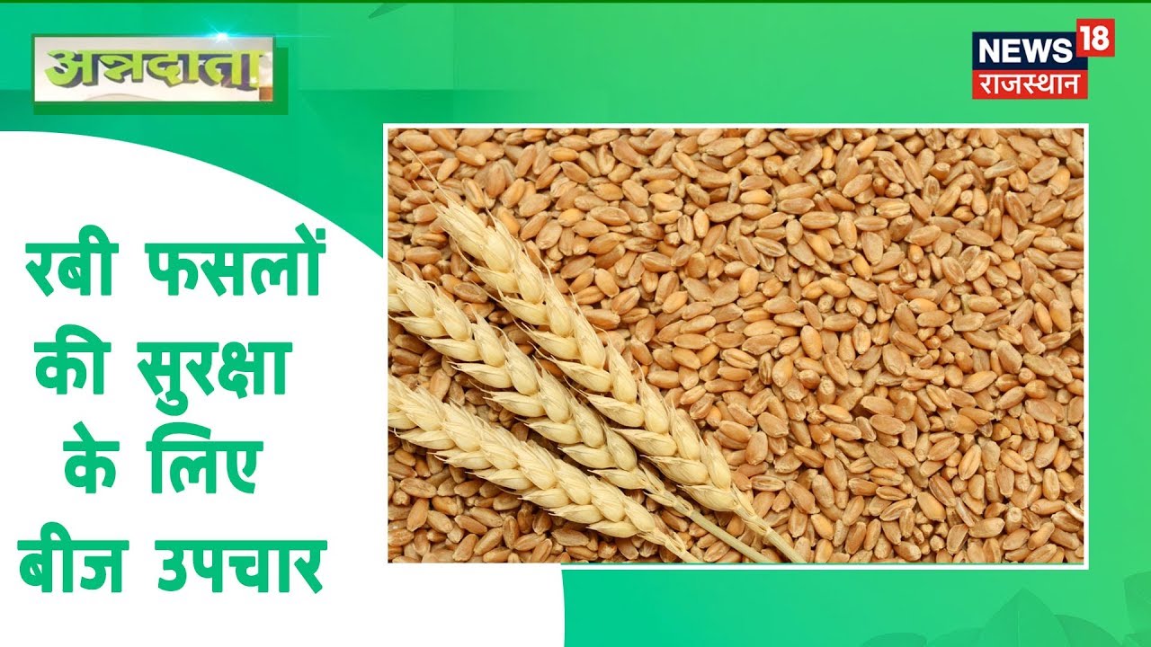 Rabi Crop Cultivation | रबी फसलों की सुरक्षा के लिए बीज उपचार ...
