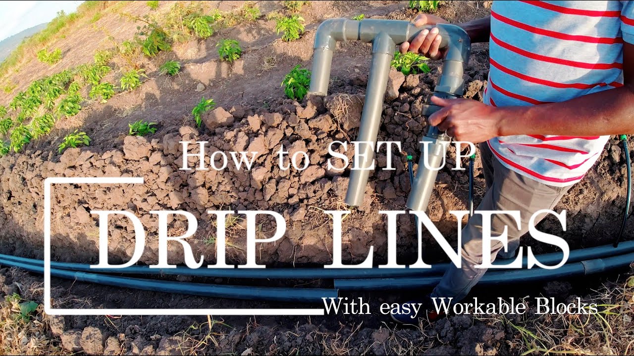 How to set up driplines to easily manage the farm #dripline #farming ...