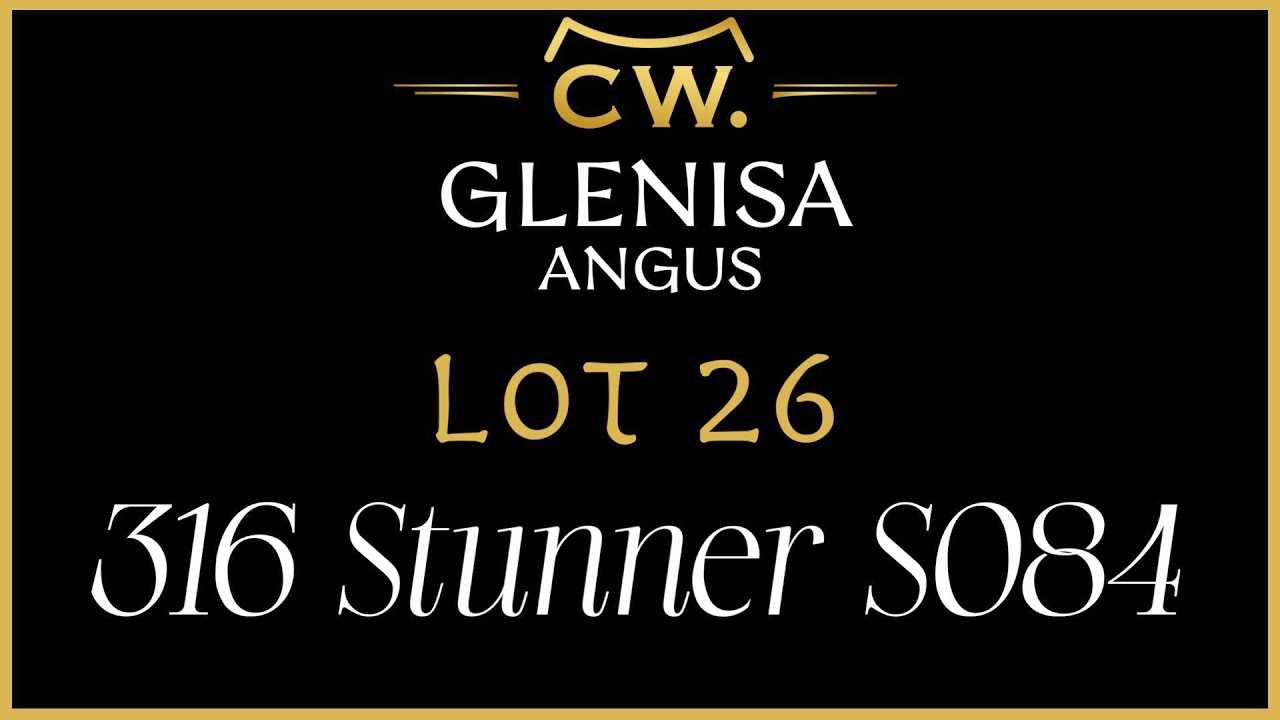Lot 26 Glenisa 316 Stunner S084 - YouTube